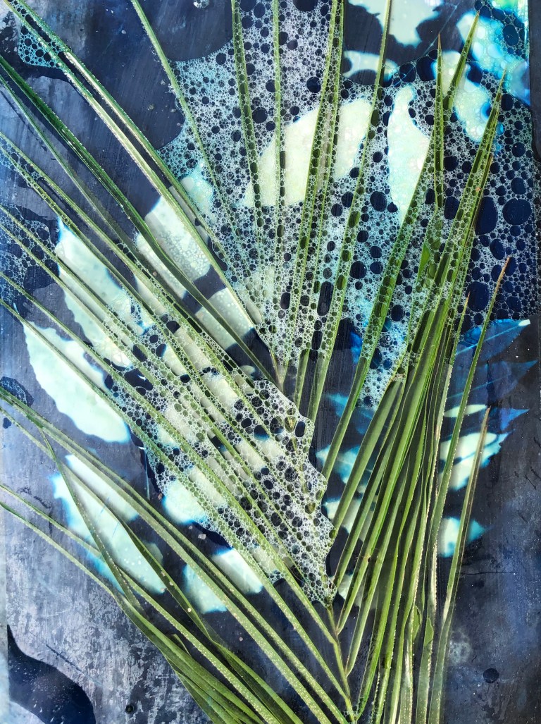 Cyanotypes revisited – Jane Hewitt